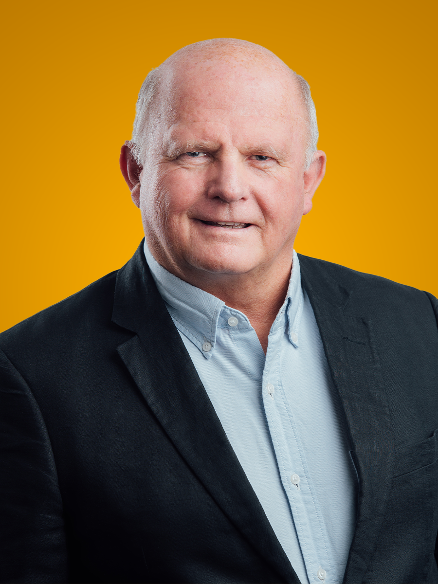 RISE Mzansi Team - Prof. Nick Binedell, Business Sector Coordinator